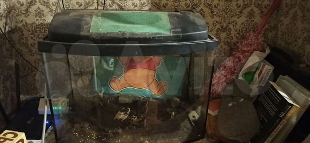 Аквариум с улитками