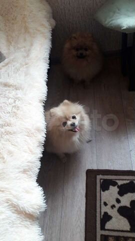 Срочно нужна помощь при вязкн